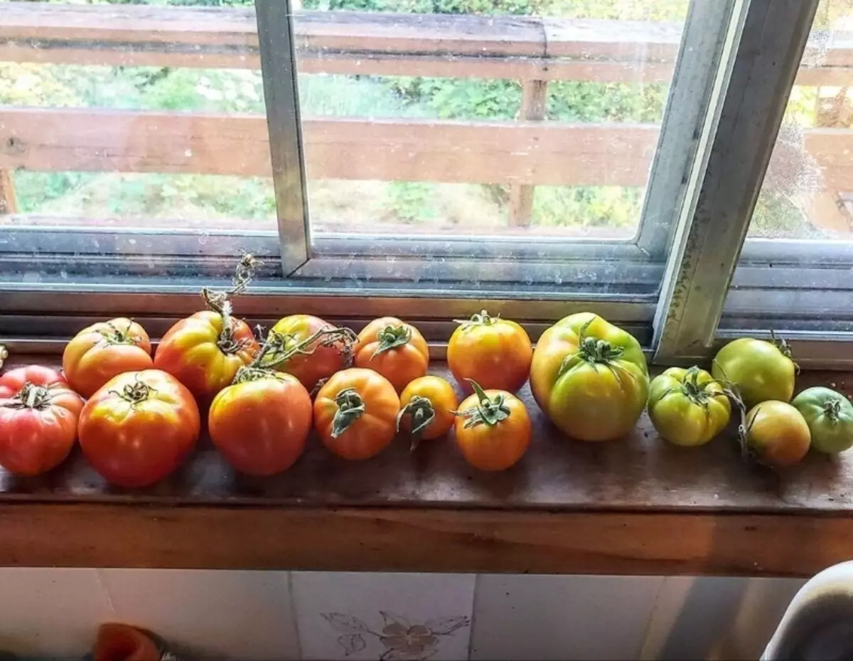 Raspravljajući rastrgan povrće i voće kod kuće 1000_2