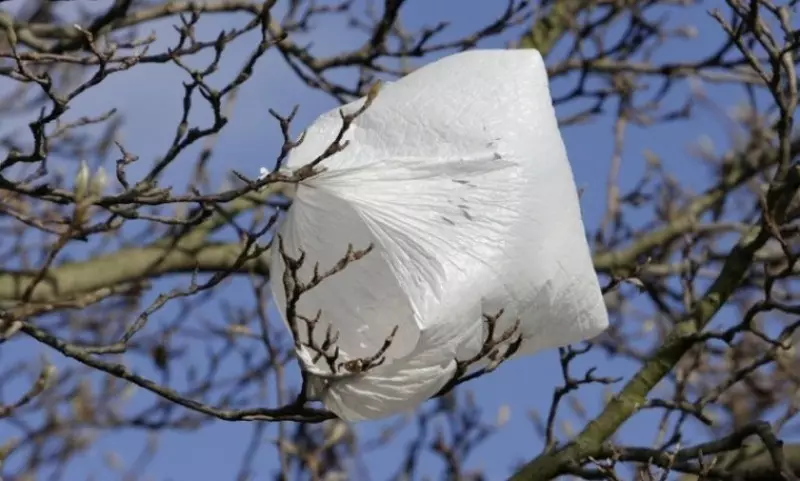 Idejas, lai izmantotu nevajadzīgus iepakojumus 1029_1