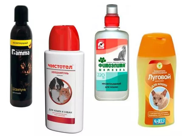 Shampoos insékticidal