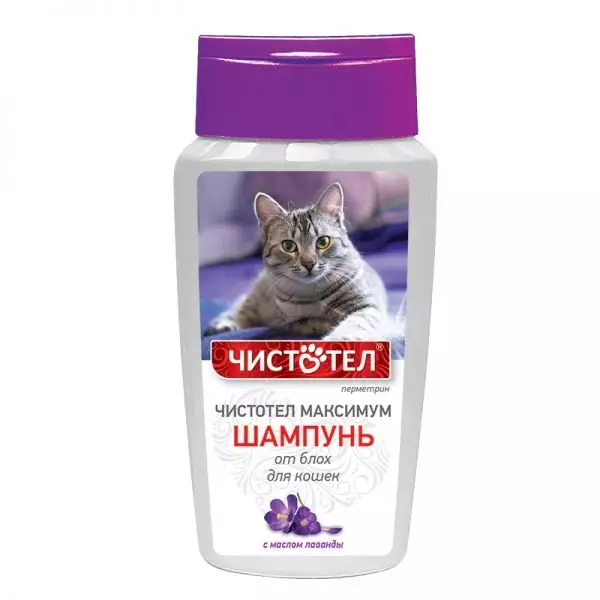 Katės šampūnas: tipai (sausas, gydymas ir kt.), Kaip pasirinkti tinkamiausią savo augintiniui, kaip kreiptis, apžvalgos 1072_28