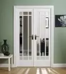 Double Mirror Door