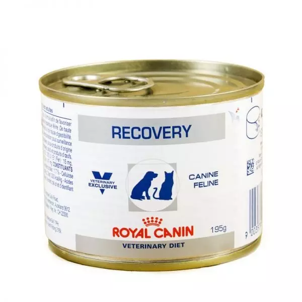 Mokre Royal Canin Food dla zwierząt podczas rehabilitacji