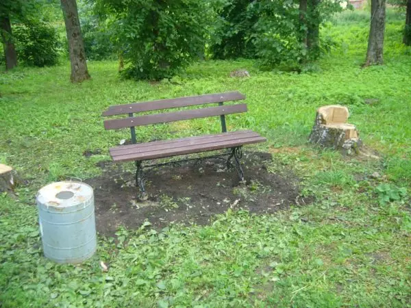 Installera en bänk i trädgården