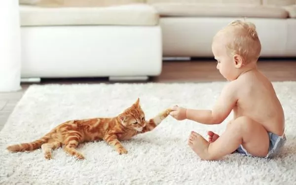 חתול ותינוקות