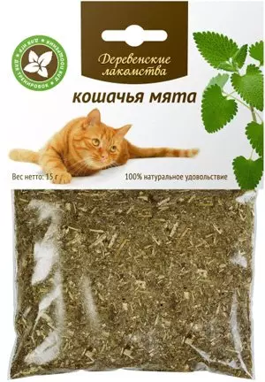 Котка мента