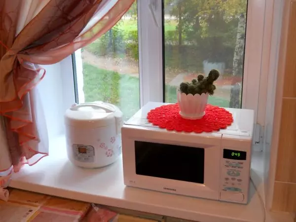 Kaktus pada microwave.