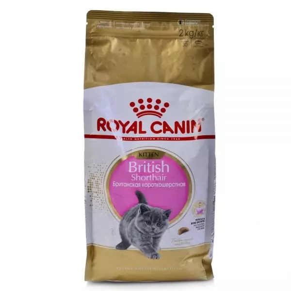 Suche jedzenie Royal Canin dla brytyjskich kocięta