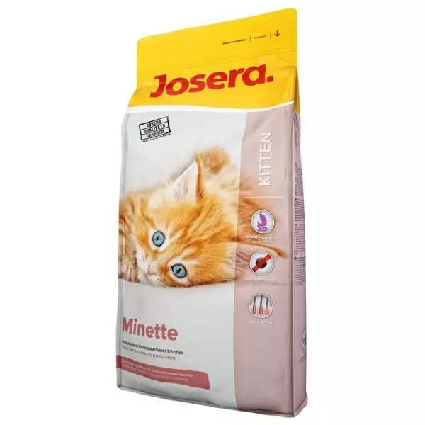 Droog voedsel voor kittens Josera