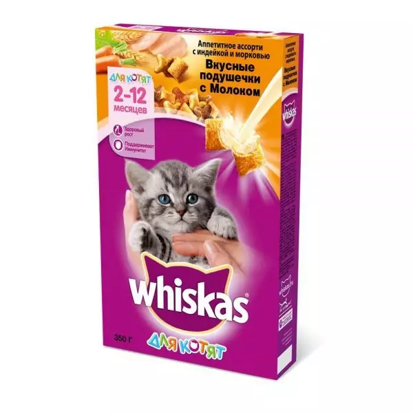 How dry food feed the kitten: age from which you can give, review the best brands, rating for 2019, veterinarian reviews 1217_6
