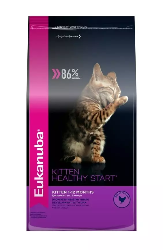 How dry food feed the kitten: age from which you can give, review the best brands, rating for 2019, veterinarian reviews 1217_7