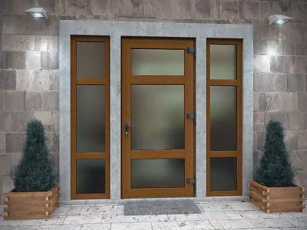 Portas de entrada sinxelas con vidro