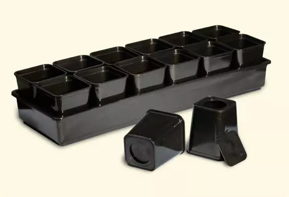 Cups for seedlings with removable bottom