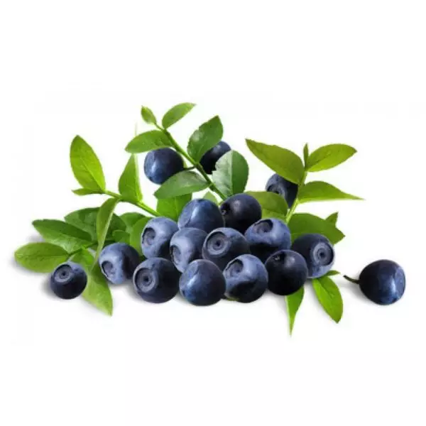 Cara mencuci blueberry dari pakaian dan permukaan lainnya, menghilangkan noda dari putih, jeans, berbagai jenis kain