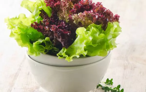 I-Salad Greens