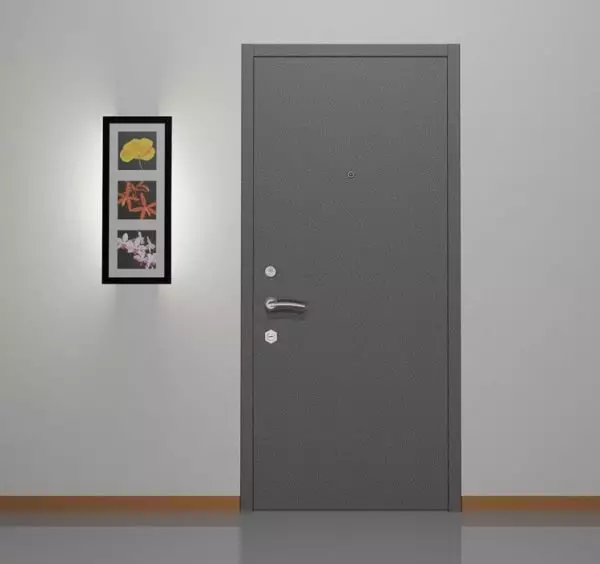 Vstupné kovové dvere s skrytými slučkami