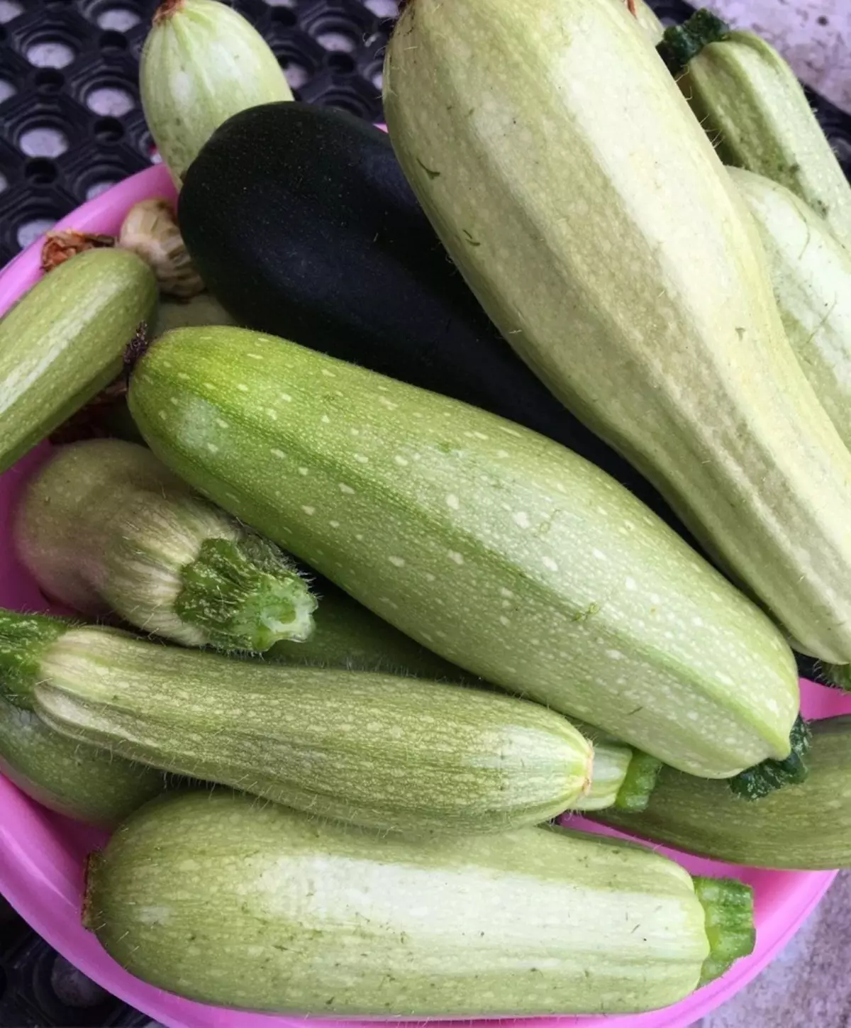 Abubuwan da aka san sanannun hanyoyin Billets na Zucchini don hunturu 1265_3