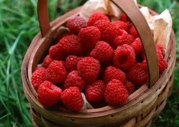 Vintage raspberry
