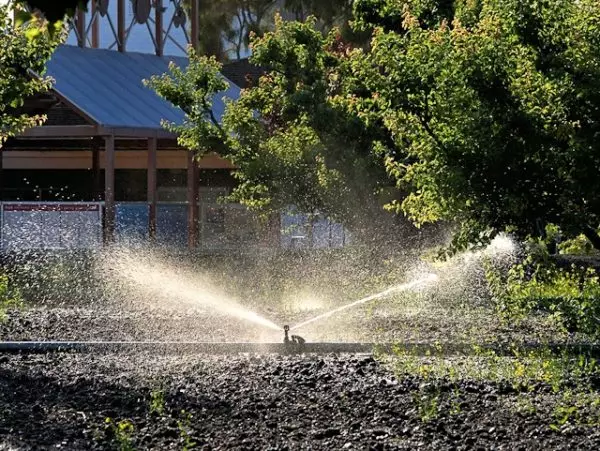 Watering by yayyafa