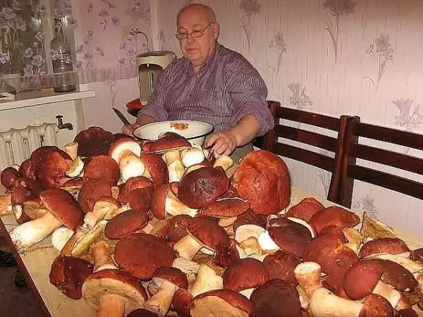 在桌子上很多蘑菇