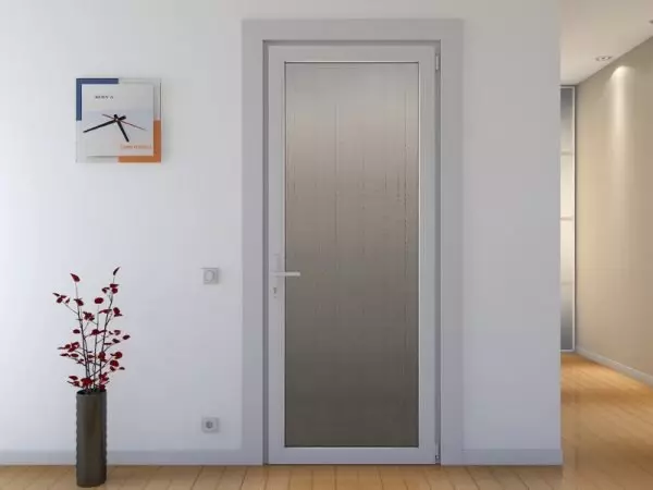 Option of plastic doors in the apartment