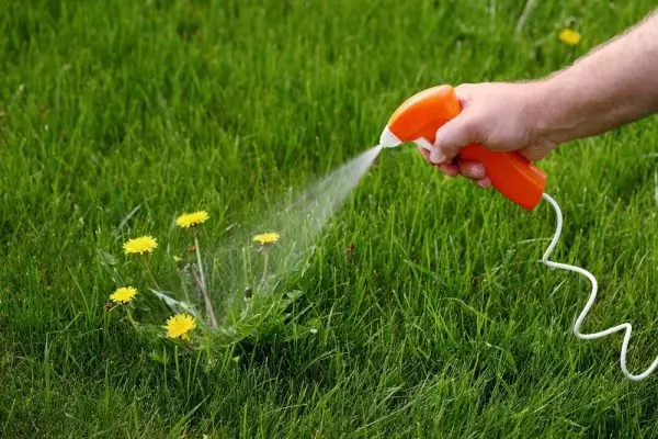 Spot Removal of Weeds.