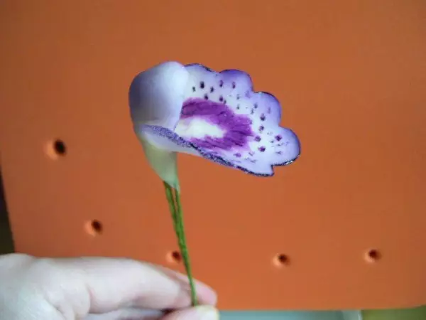 Core de orquídea de color