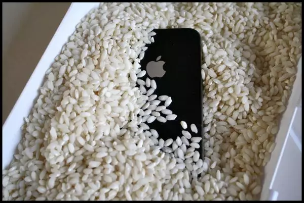 Teléfono en arroz