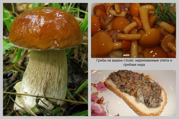 O que pode ser preparado para o inverno: receitas de boletos de cogumelos, repolho, tomates, pepinos e outros vegetais + vídeo