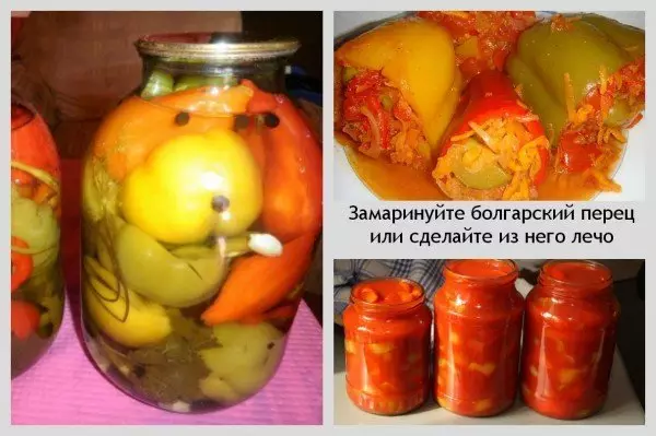 Miten valmistaa bulgarialainen pippuri talvella