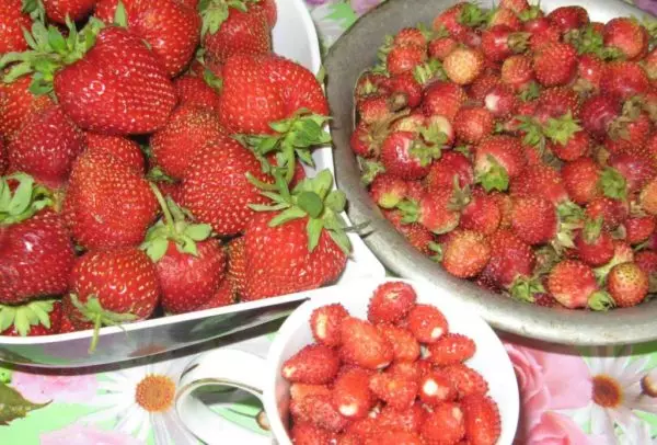 Strawberry at strawberry.