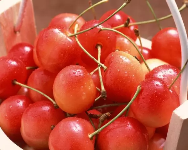 Fruits Cherry.