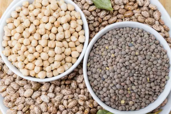 Nut, beans at lentils.