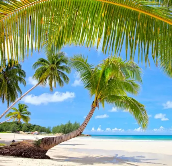 Plýa beach, palma