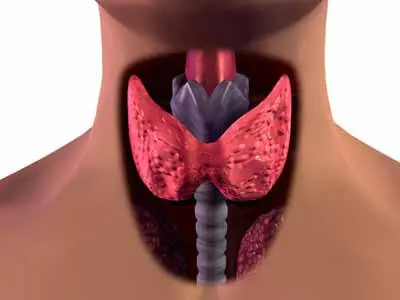 Cov thyroid