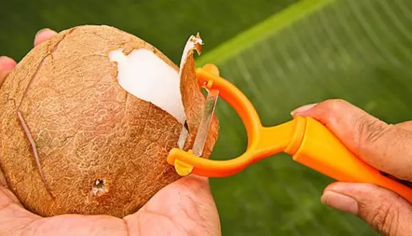 Рафъи пӯсти кокос бо сабзавот