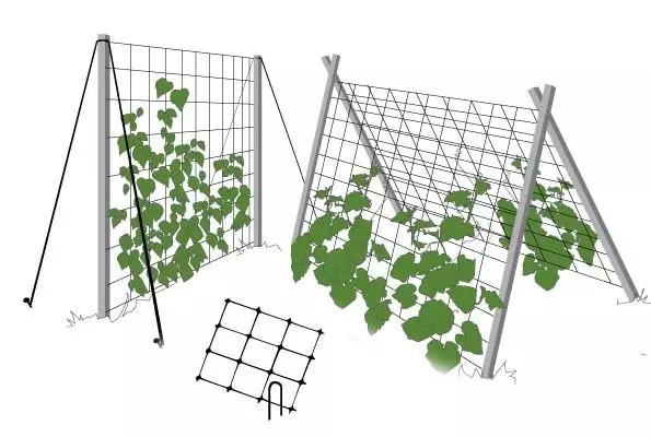 Wooden stakes and grid trellis