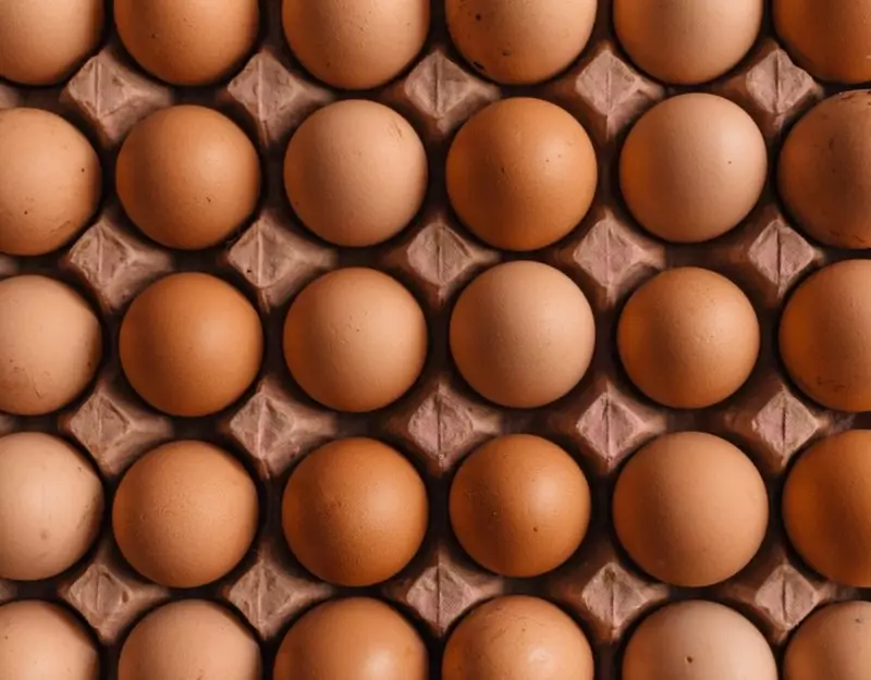 Telur kategori yang lebih baik: C0, C1, C2, C3 atau SV