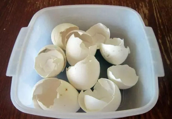 Coquille d'œufs dans la misange