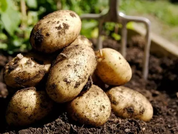 Vintage aardappelen