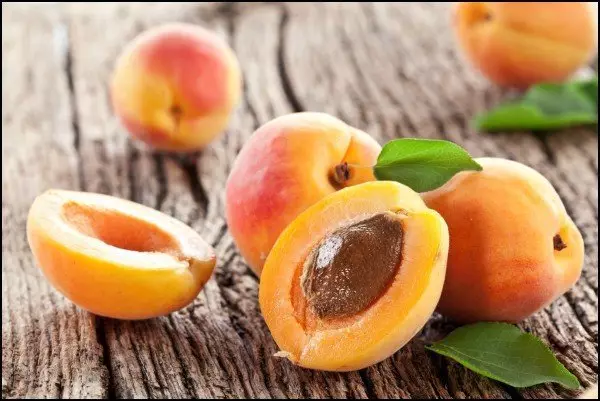 The flesh of apricot