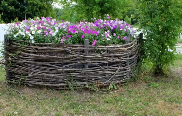 Pinti tvoros gėlių loveliams