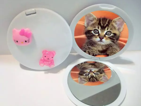آینه با بچه گربه شیب دار