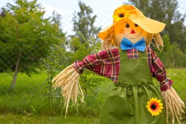 Scarecrow di kebon