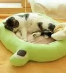 Tuisgemaakte lenhing kussing kat se kopvormige kat met swart en wit lap op afgeronde ore, kat dorm