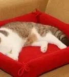 Kočka v obdélníkové červené lehátko s šitými záhyby na rozích straně