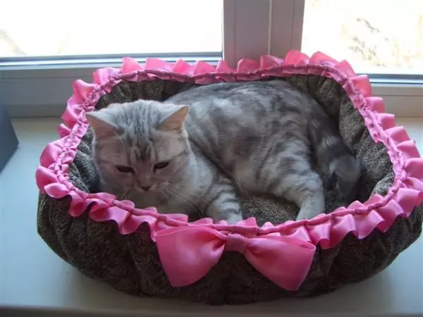 Лежанка для кішки, люблячої спати на вікні