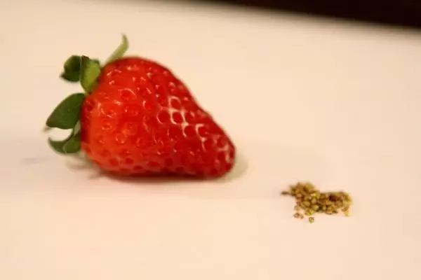 Strawberries ma fatu