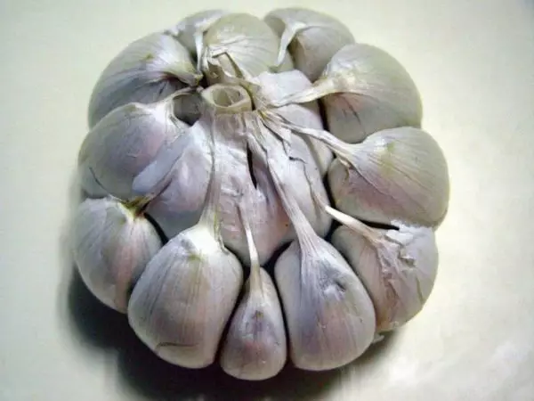 Garlic Yarova
