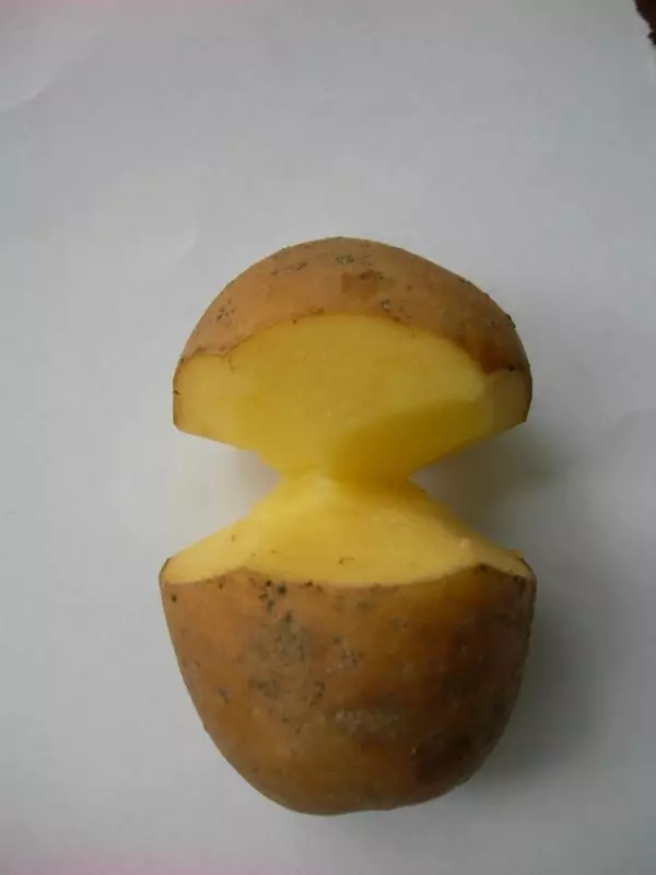 Krompir cijev prije GER