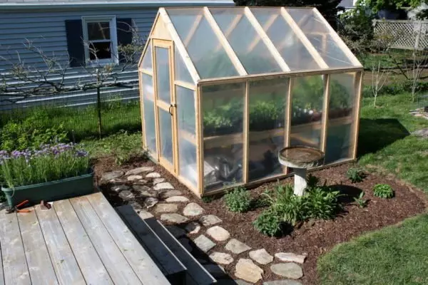O koahetse Greenhouse